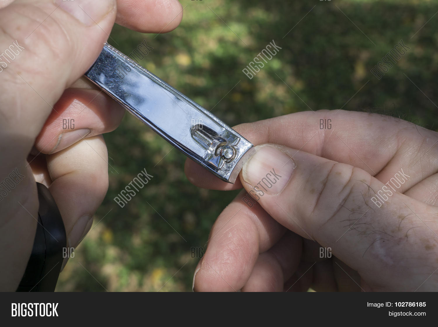 Trimming Thumbnail Image & Photo (Free Trial) | Bigstock