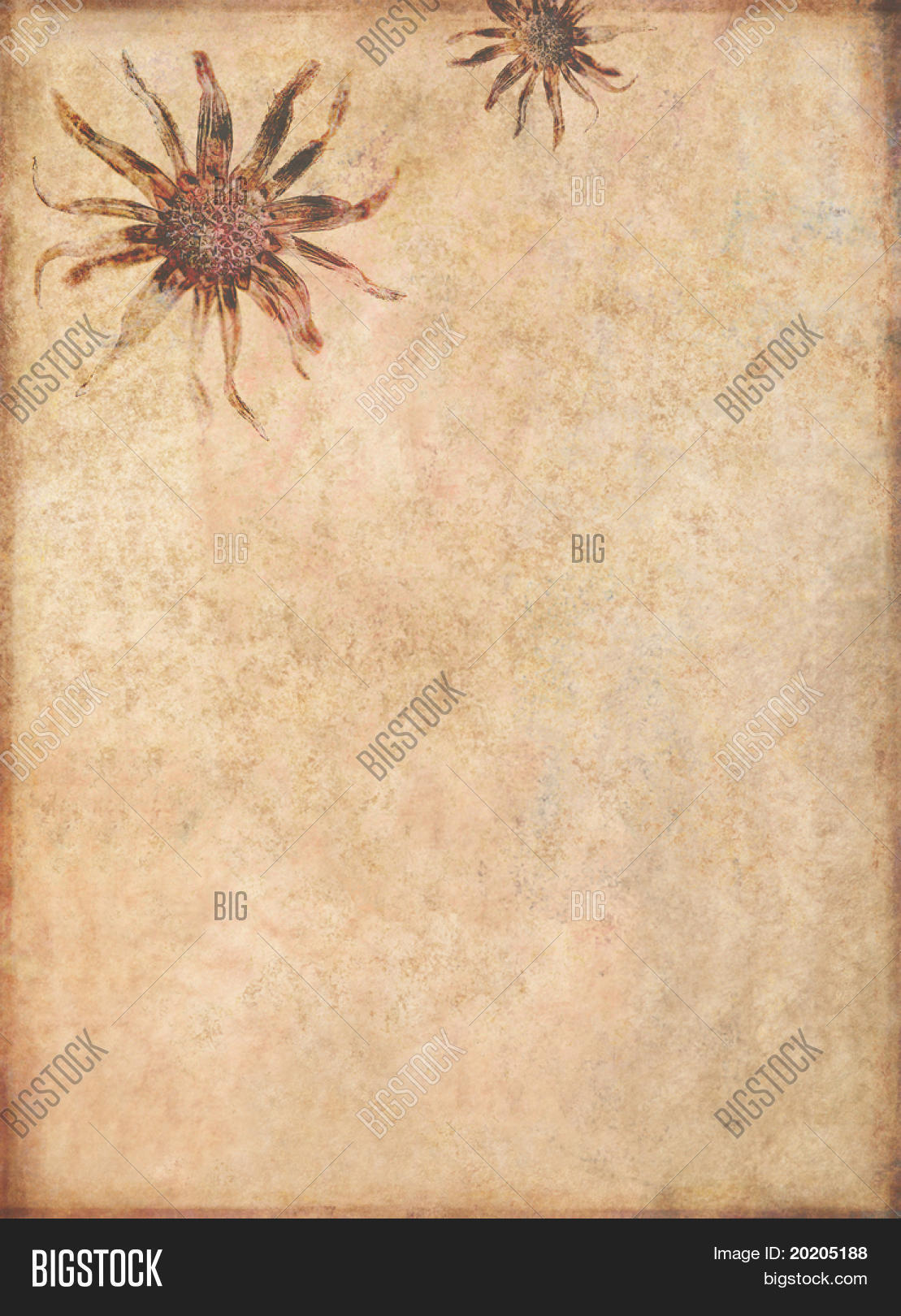 Lovely Useful Image & Photo (Free Trial) | Bigstock