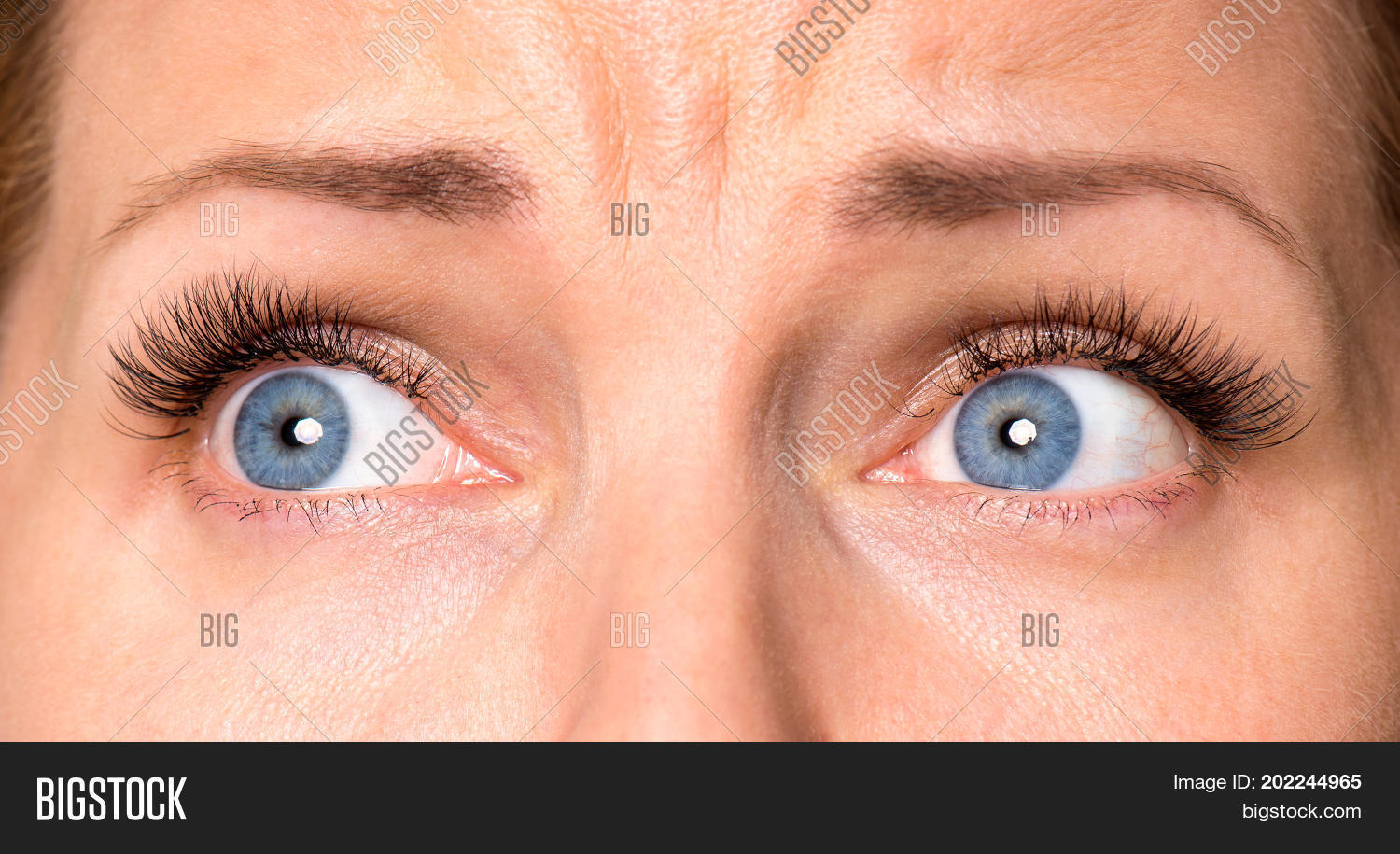 Close- Scared Face Image & Photo (Free Trial) | Bigstock