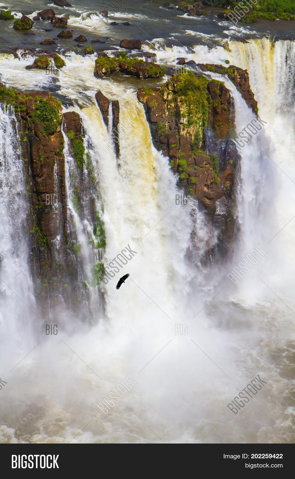 Complex Waterfalls Image & Photo (Free Trial) | Bigstock