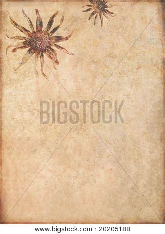 Lovely Useful Image & Photo (Free Trial) | Bigstock