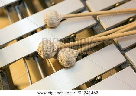 Xylophone Musical Image & Photo (Free Trial) | Bigstock