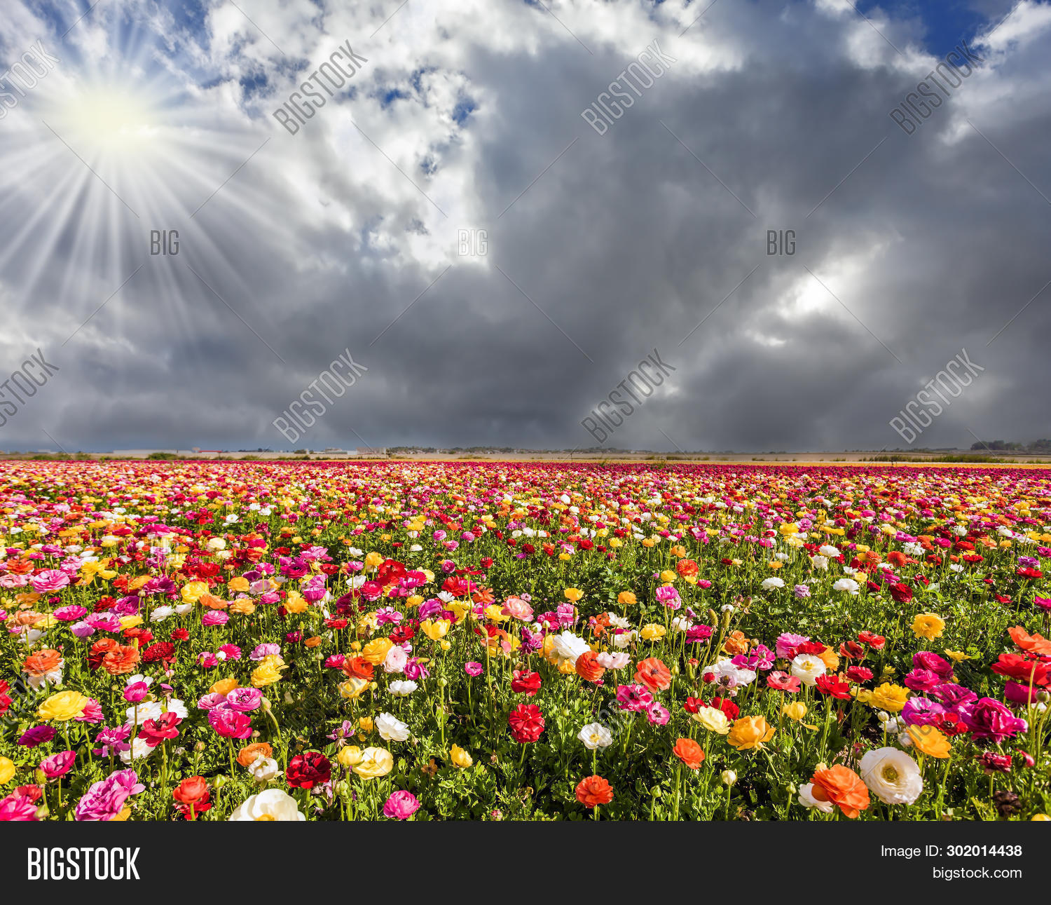 Heavy Rain Cloud Over Image & Photo (Free Trial) | Bigstock
