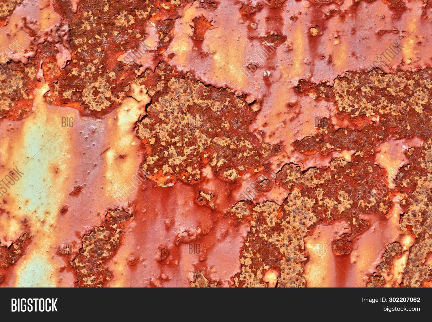 Detailed Close Surface Image & Photo (Free Trial) | Bigstock