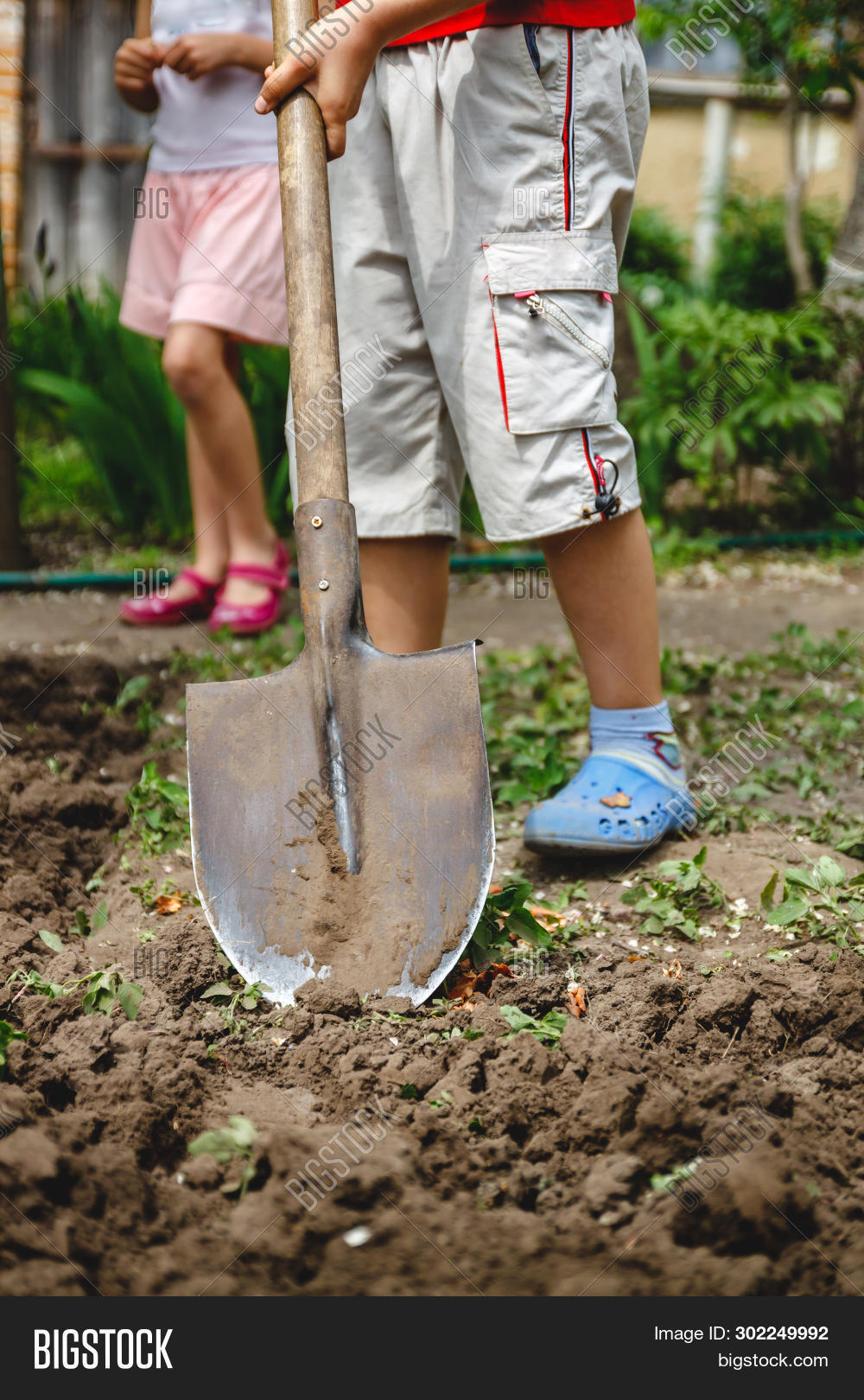 Boy Digging Vegetable Image & Photo (Free Trial) | Bigstock