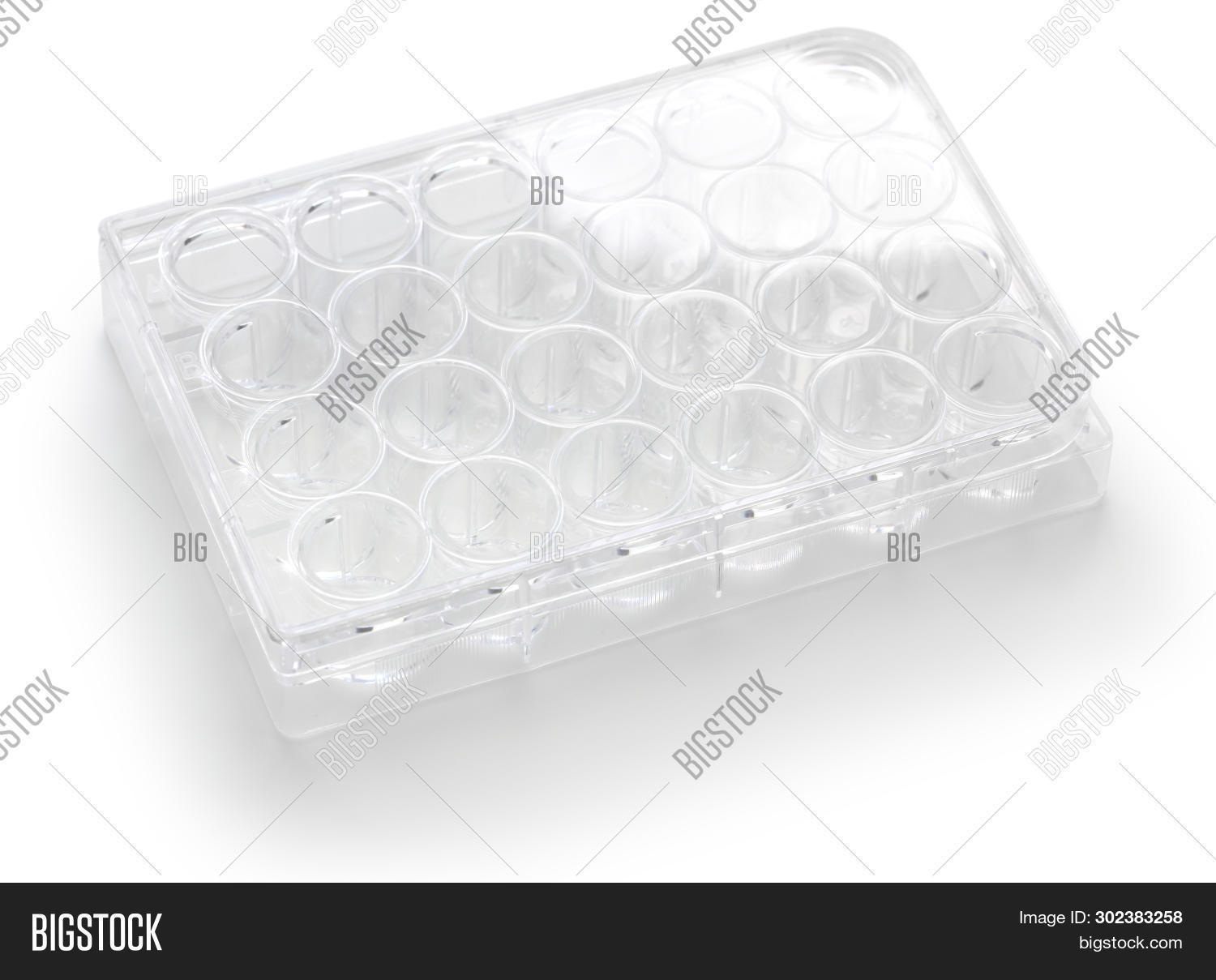 Empty 24 Well Tissue Image & Photo (Free Trial) | Bigstock