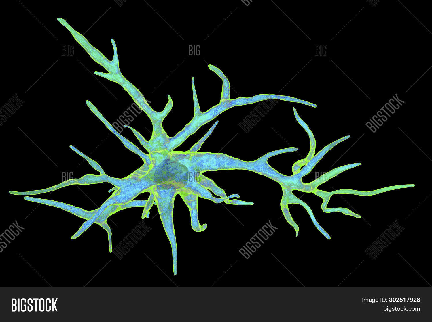 Astrocyte, Brain Glial Image & Photo (Free Trial) | Bigstock