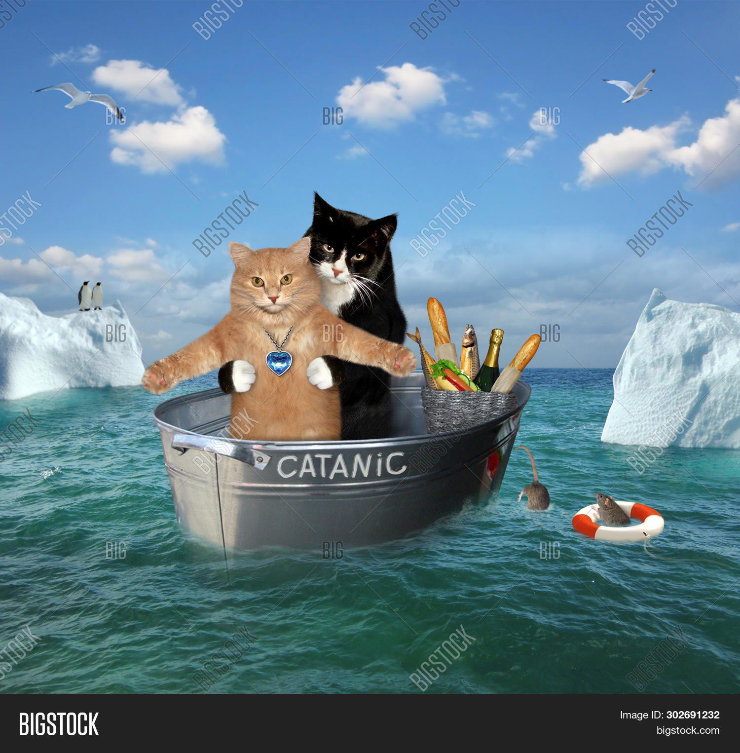 Two Brave Cats Image & Photo (Free Trial) | Bigstock