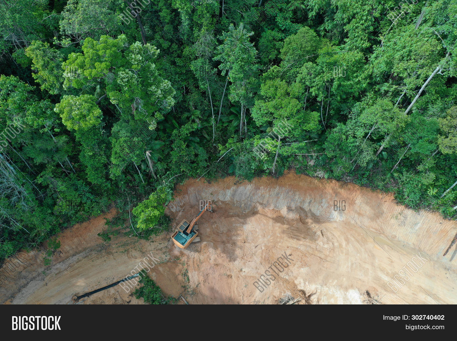 Deforestation. Logging Image & Photo (Free Trial) | Bigstock