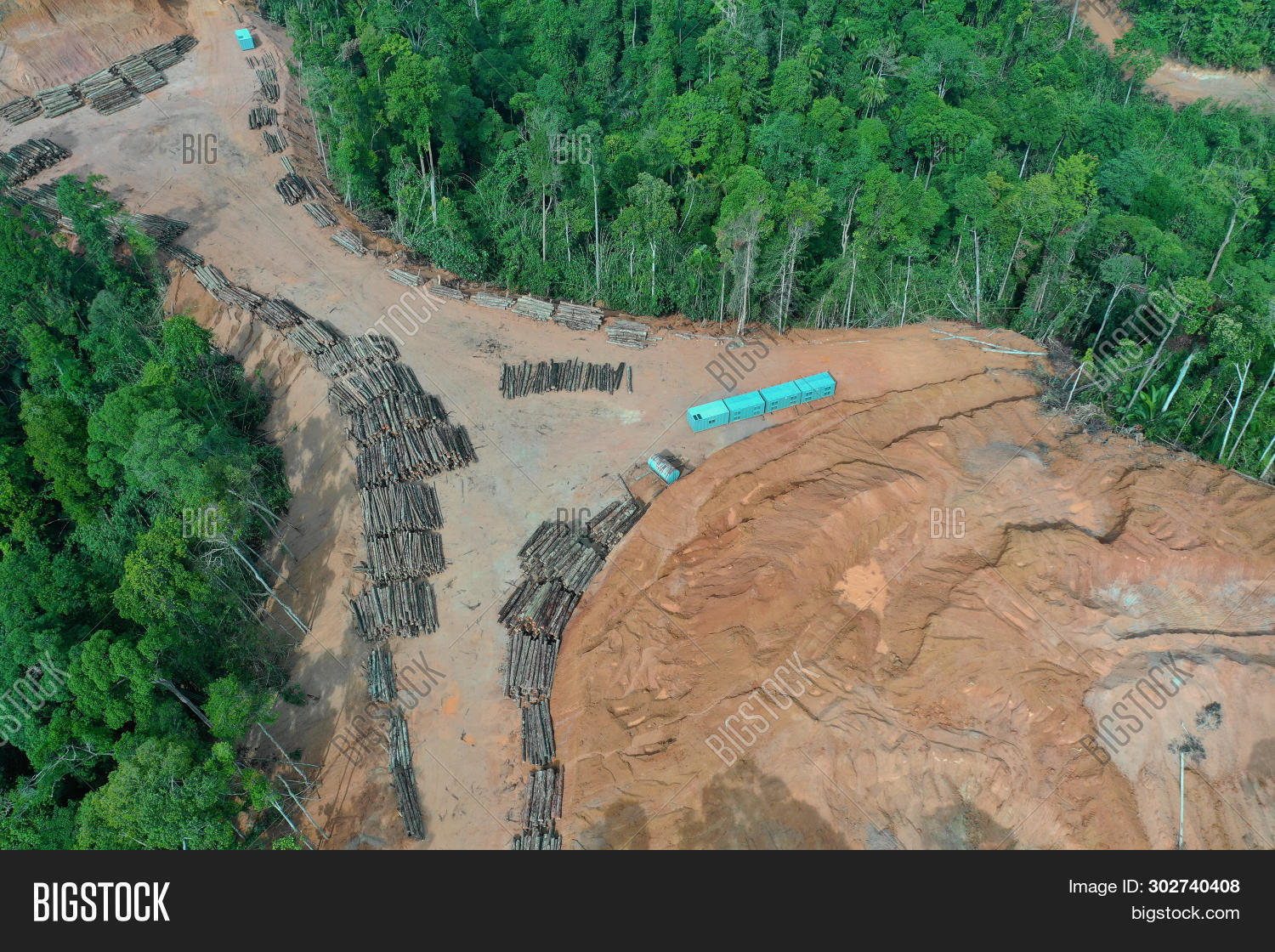 Deforestation. Logging Image & Photo (Free Trial) | Bigstock
