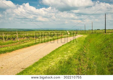 Imagen y foto Countryside (prueba gratis) | Bigstock
