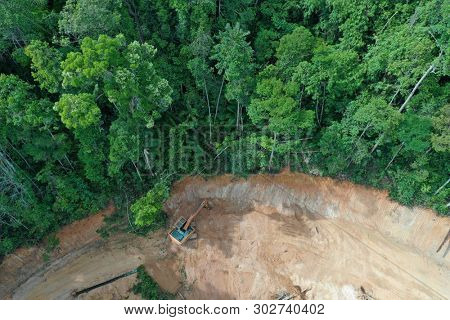 Deforestation. Logging Image & Photo (Free Trial) | Bigstock