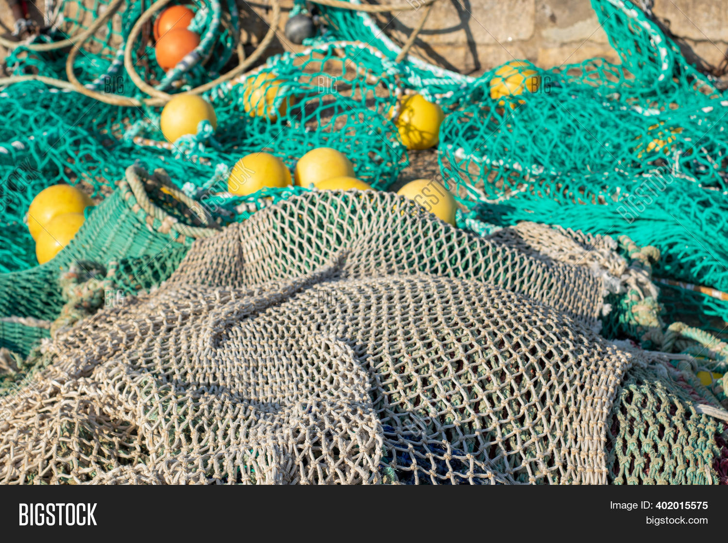 Gray Green Fishing Image & Photo (Free Trial) | Bigstock