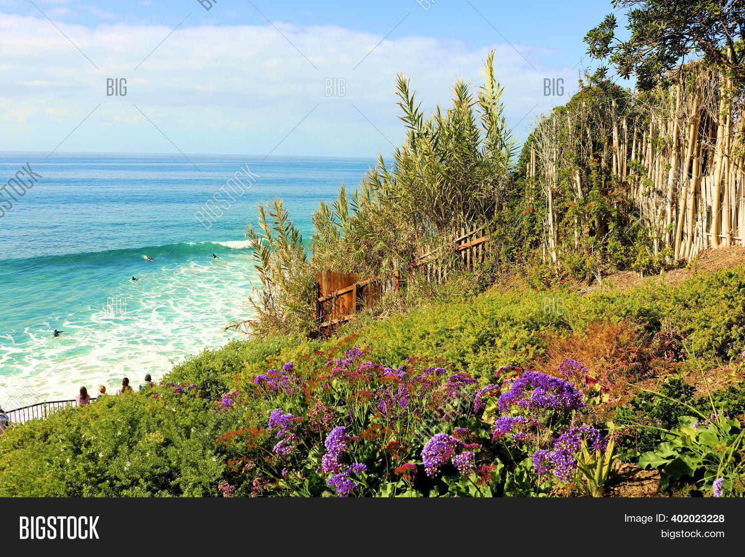 Rural Field Coastal Image & Photo (Free Trial) | Bigstock
