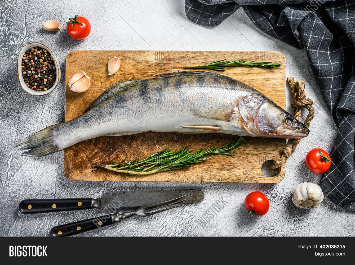 Zander, Walleye Herbs Image & Photo (Free Trial) | Bigstock