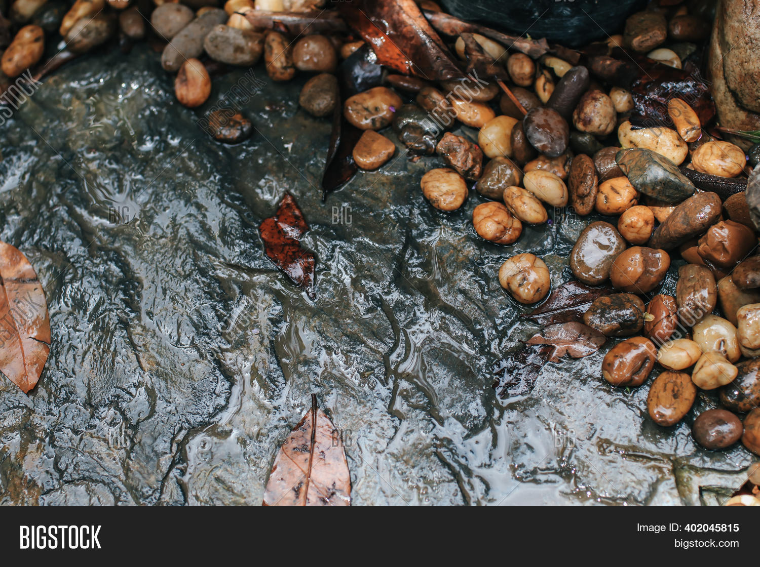 Wet River Stone Image & Photo (Free Trial) | Bigstock