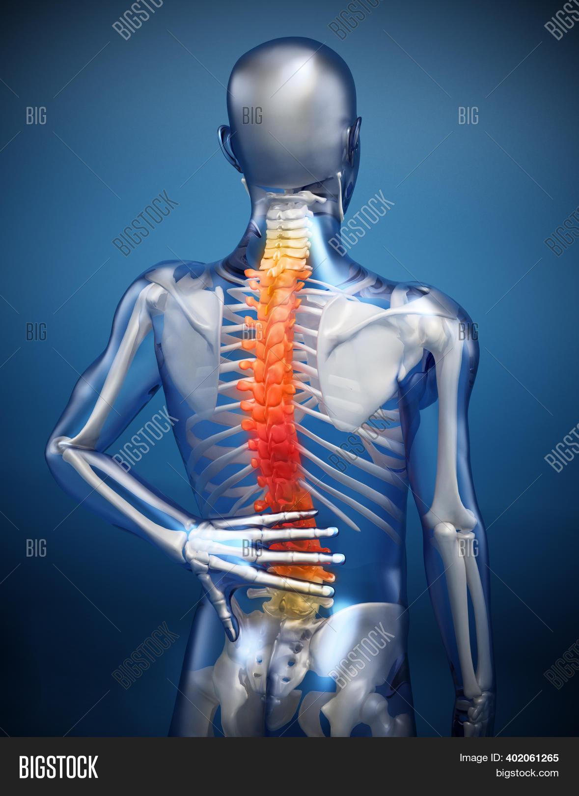 3d Illustration Image & Photo (Free Trial) | Bigstock