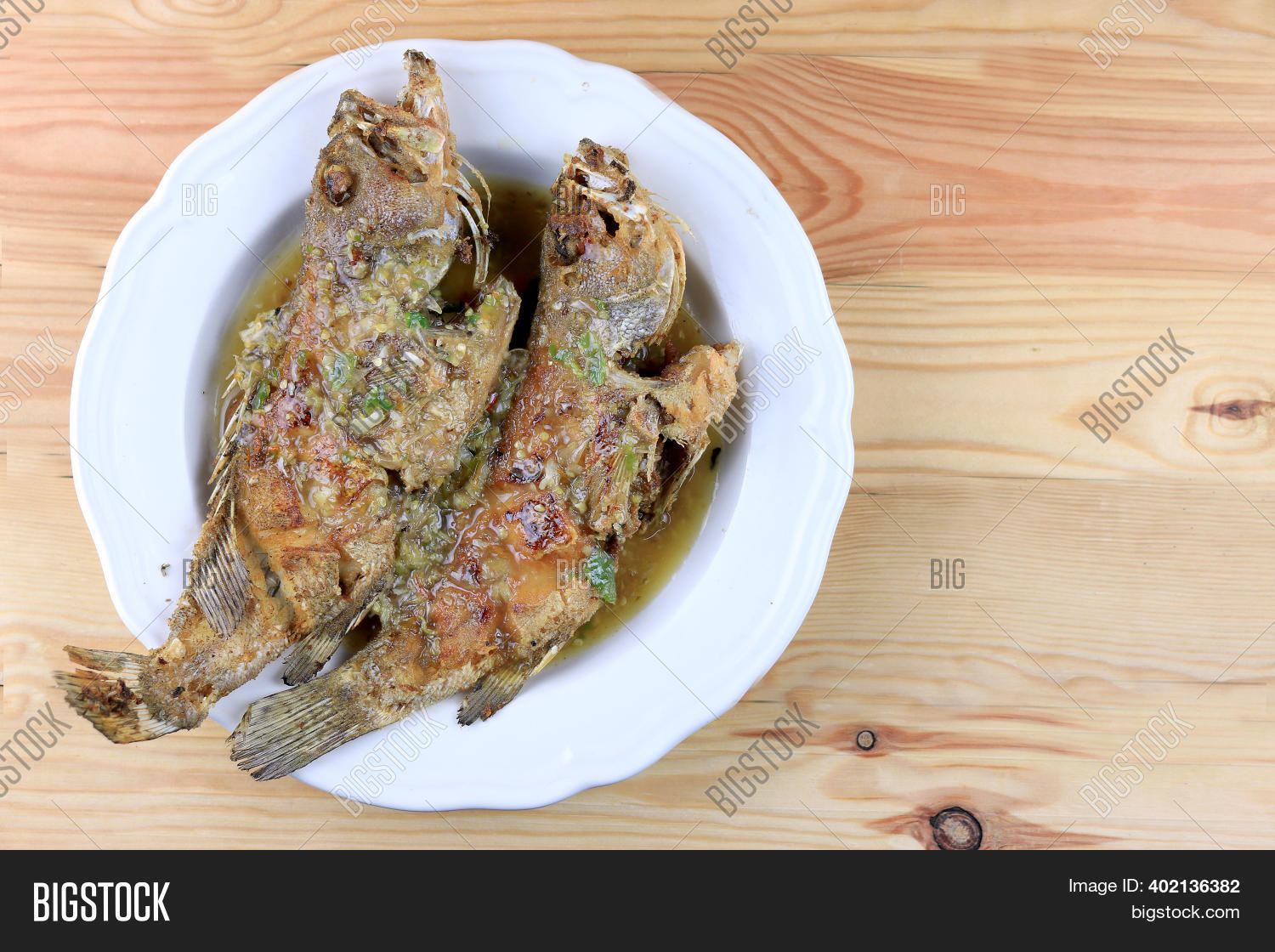 Thai Giant Gourami Image & Photo (Free Trial) | Bigstock