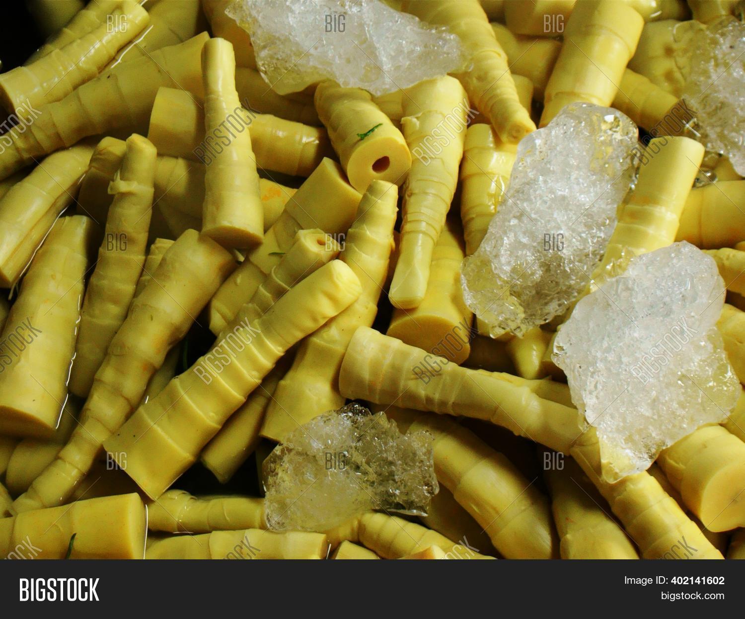 Fresh Bamboo Shoots Image & Photo (Free Trial) | Bigstock