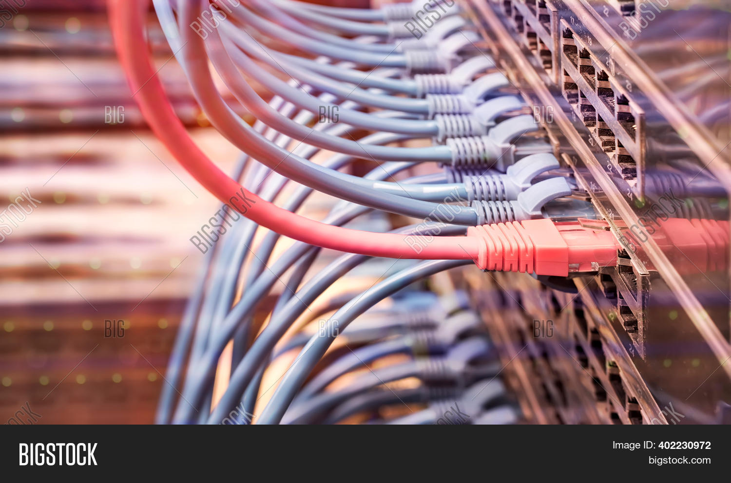 Server Rack Blue Red Image & Photo (Free Trial) | Bigstock