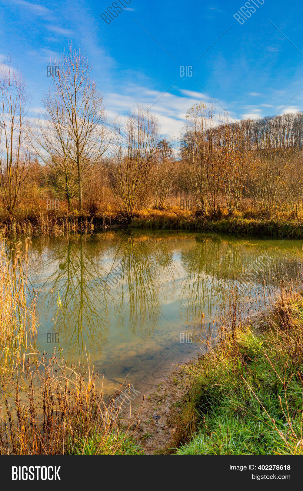 Pond Crystal Clear Image & Photo (Free Trial) | Bigstock