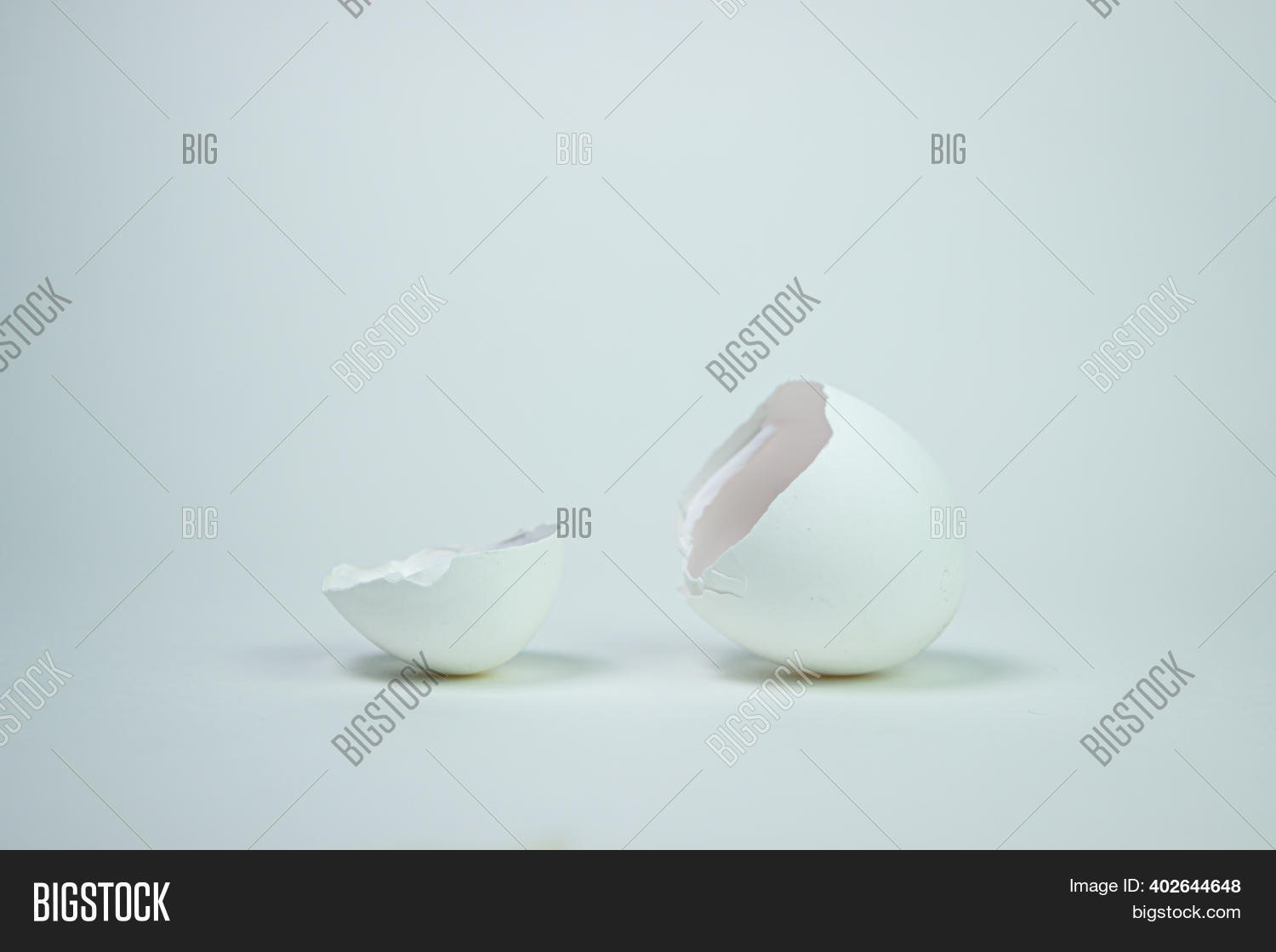 Eggshell On White Image & Photo (Free Trial) | Bigstock