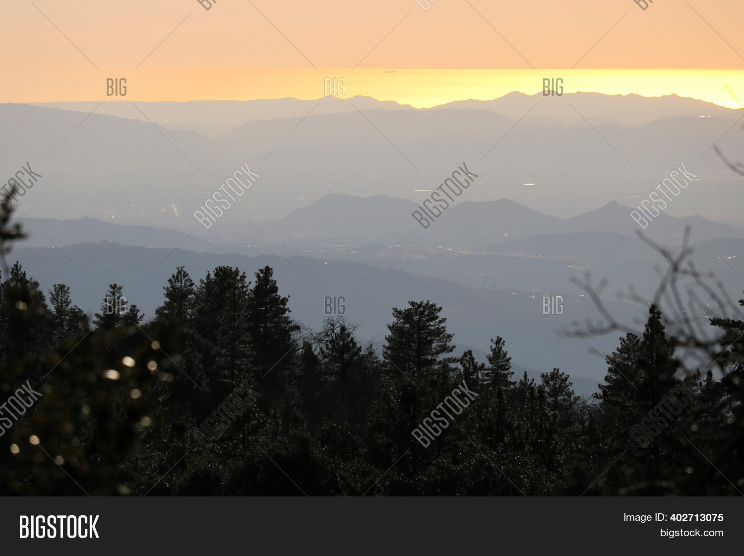 Alpine Pine Forest On Image & Photo (Free Trial) | Bigstock