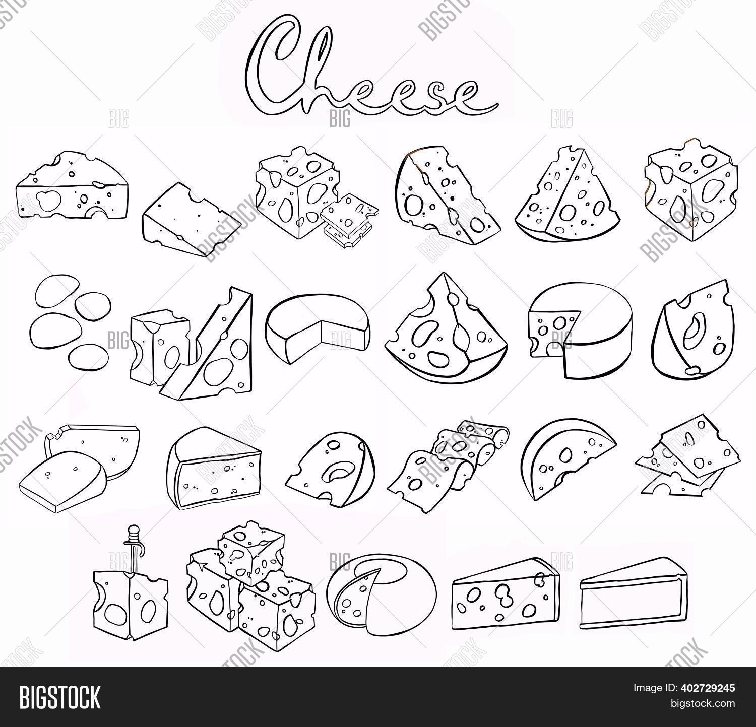 Cheese Isolated On Image & Photo (Free Trial) | Bigstock