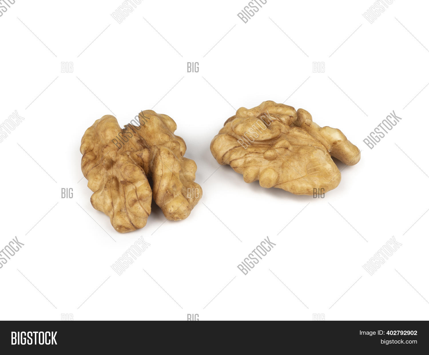 Two Walnut Kernels Image & Photo (Free Trial) | Bigstock
