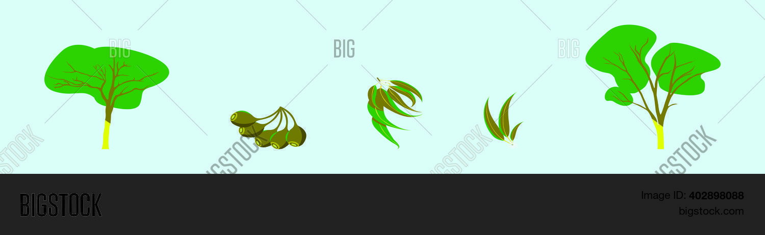 Set Gum Tree Cartoon Vector & Photo (Free Trial) | Bigstock
