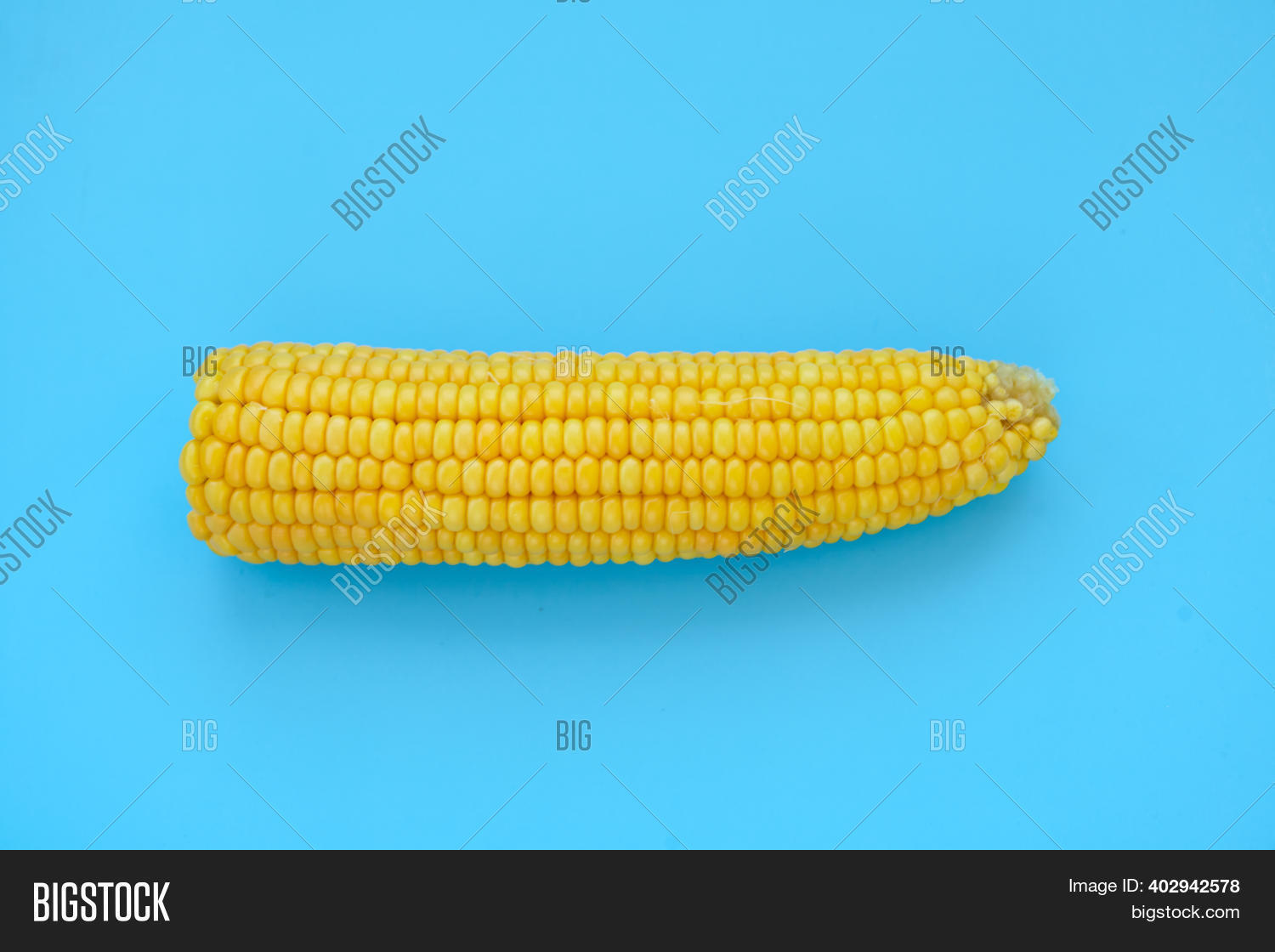 Sweetcorn Against Blue Image & Photo (Free Trial) | Bigstock
