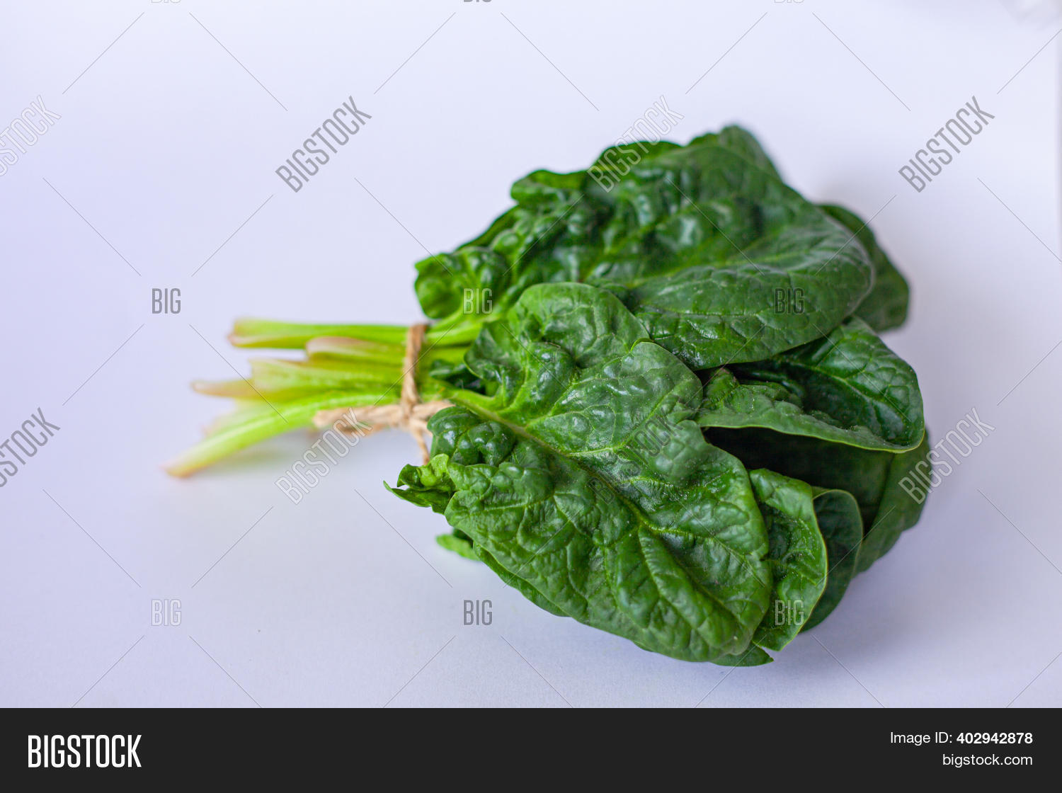 Fresh Spinach Bundle Image & Photo (Free Trial) | Bigstock