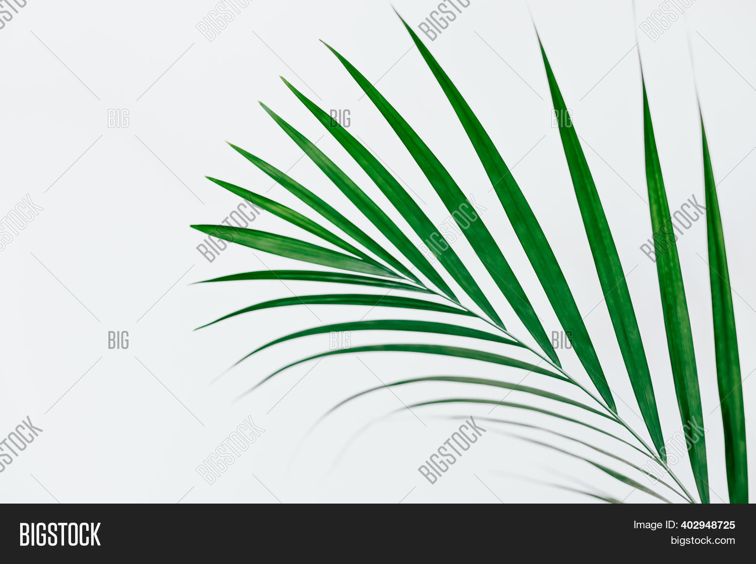 Minimal Natural Image & Photo (Free Trial) | Bigstock