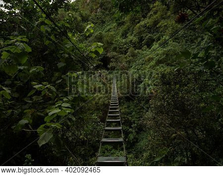 Steel Wire Rope Canopy Image & Photo (Free Trial) | Bigstock