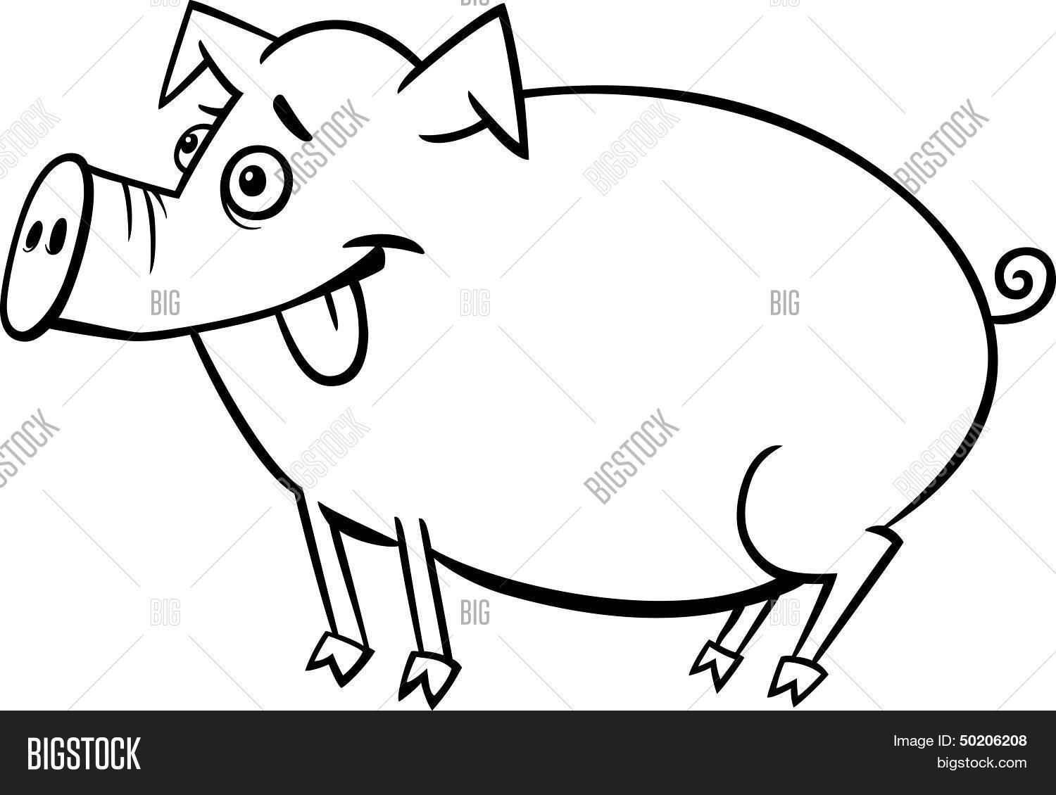 Farm Pig Cartoon Vector & Photo (Free Trial) | Bigstock