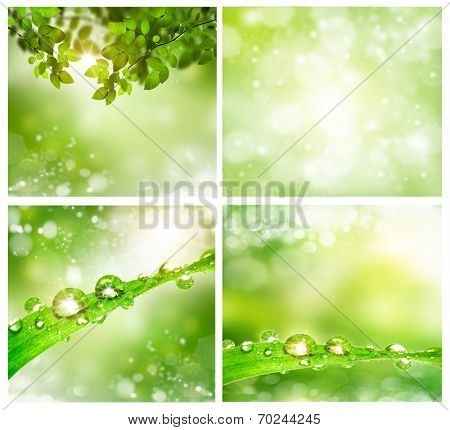 Set Photos Spring Image & Photo (Free Trial) | Bigstock
