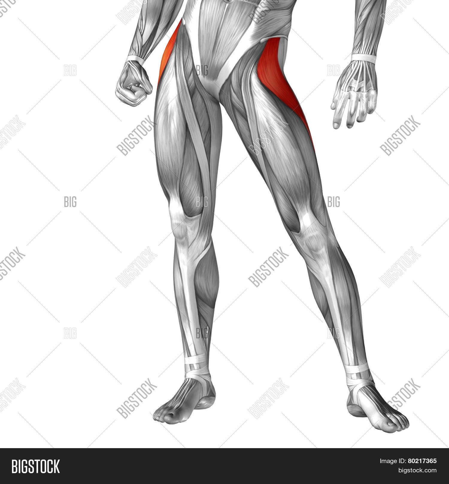 Concept Conceptual 3D Image & Photo (Free Trial) | Bigstock