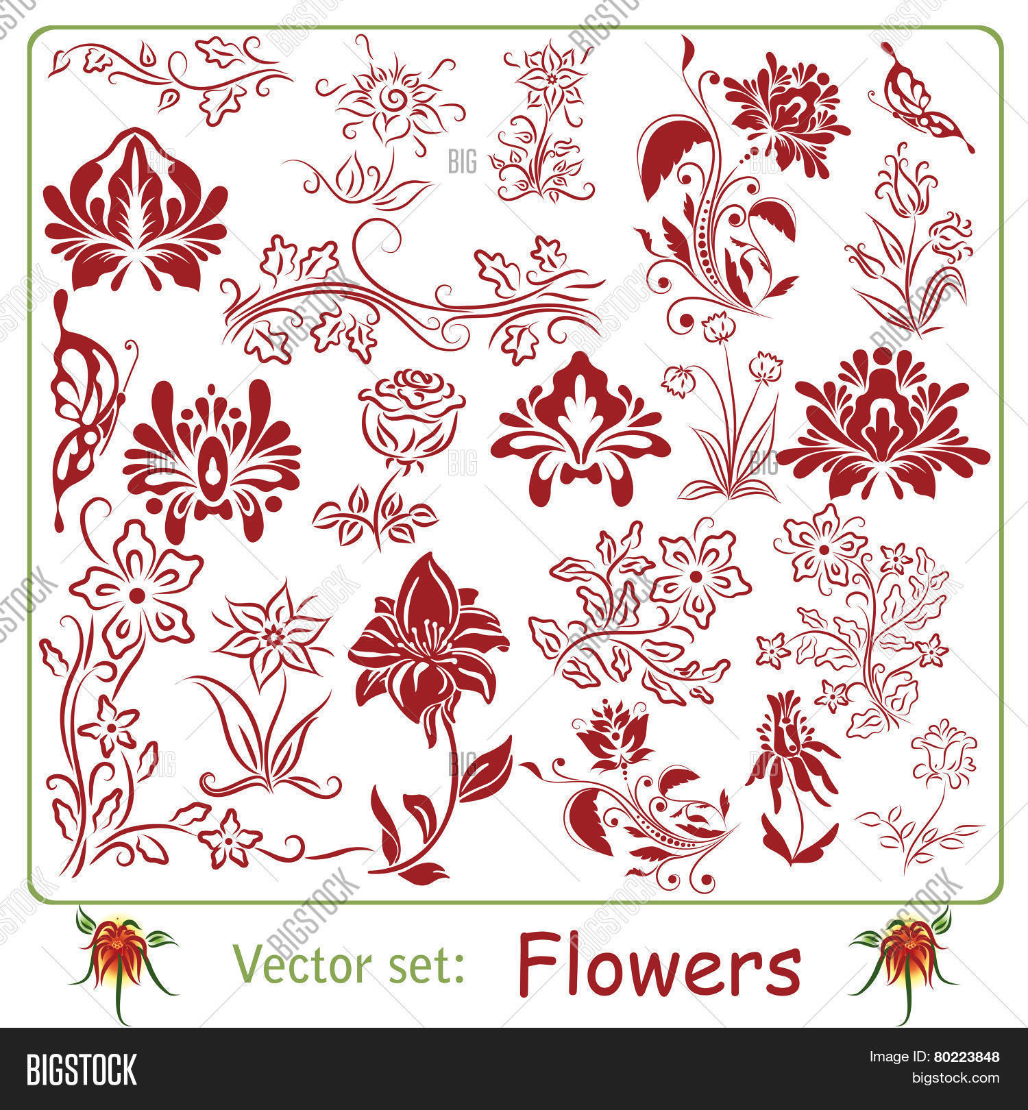 Big Set Flowers Vector & Photo (Free Trial) | Bigstock