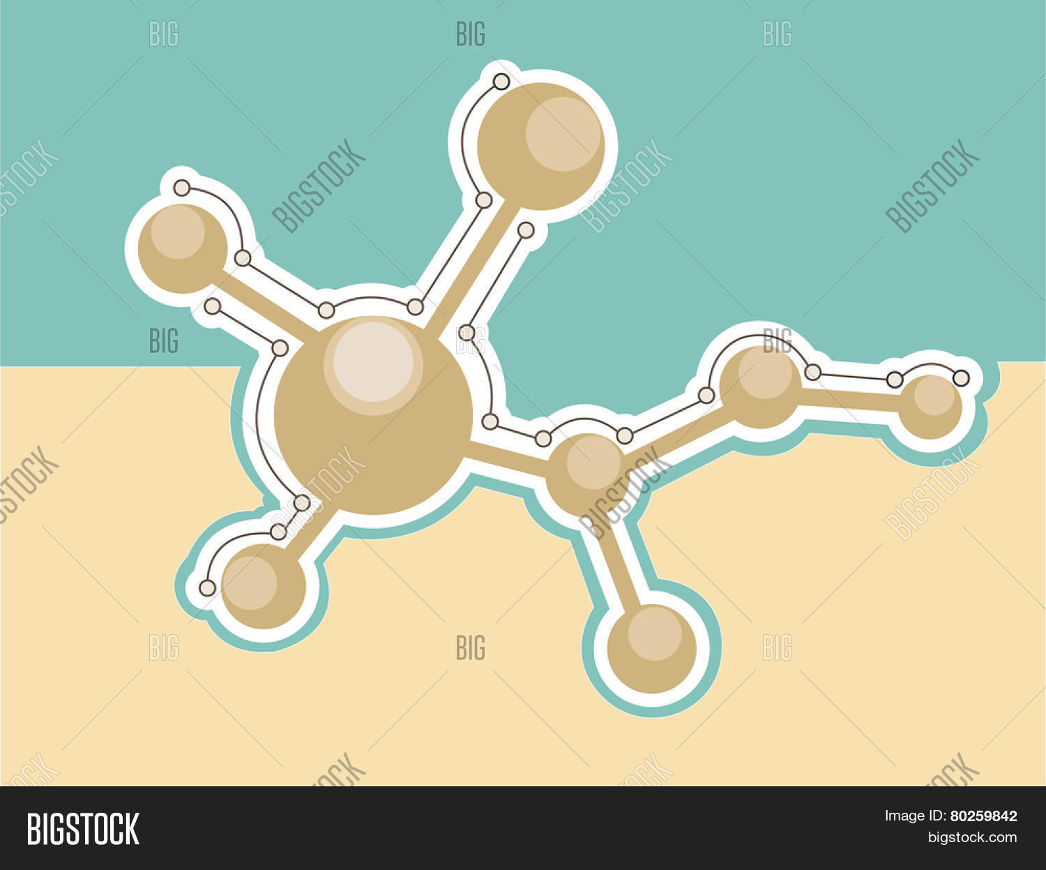 Structure Human Cells Vector & Photo (Free Trial) | Bigstock