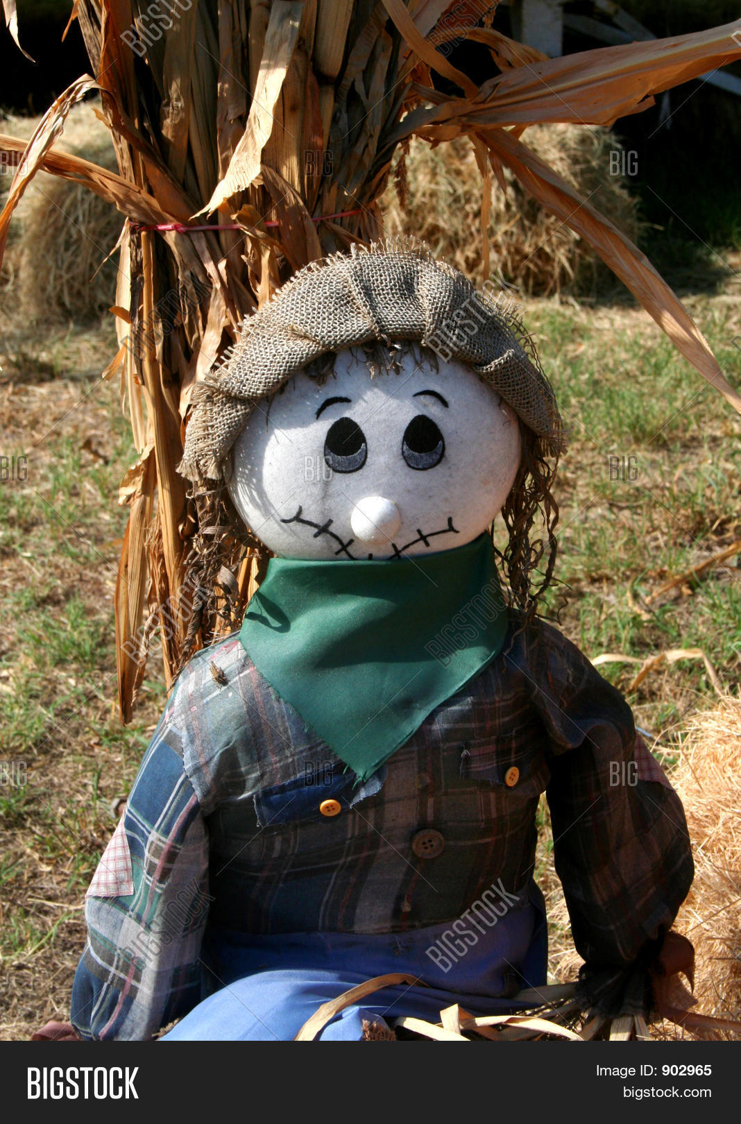 Scarecrow Plaid Image & Photo (Free Trial) | Bigstock