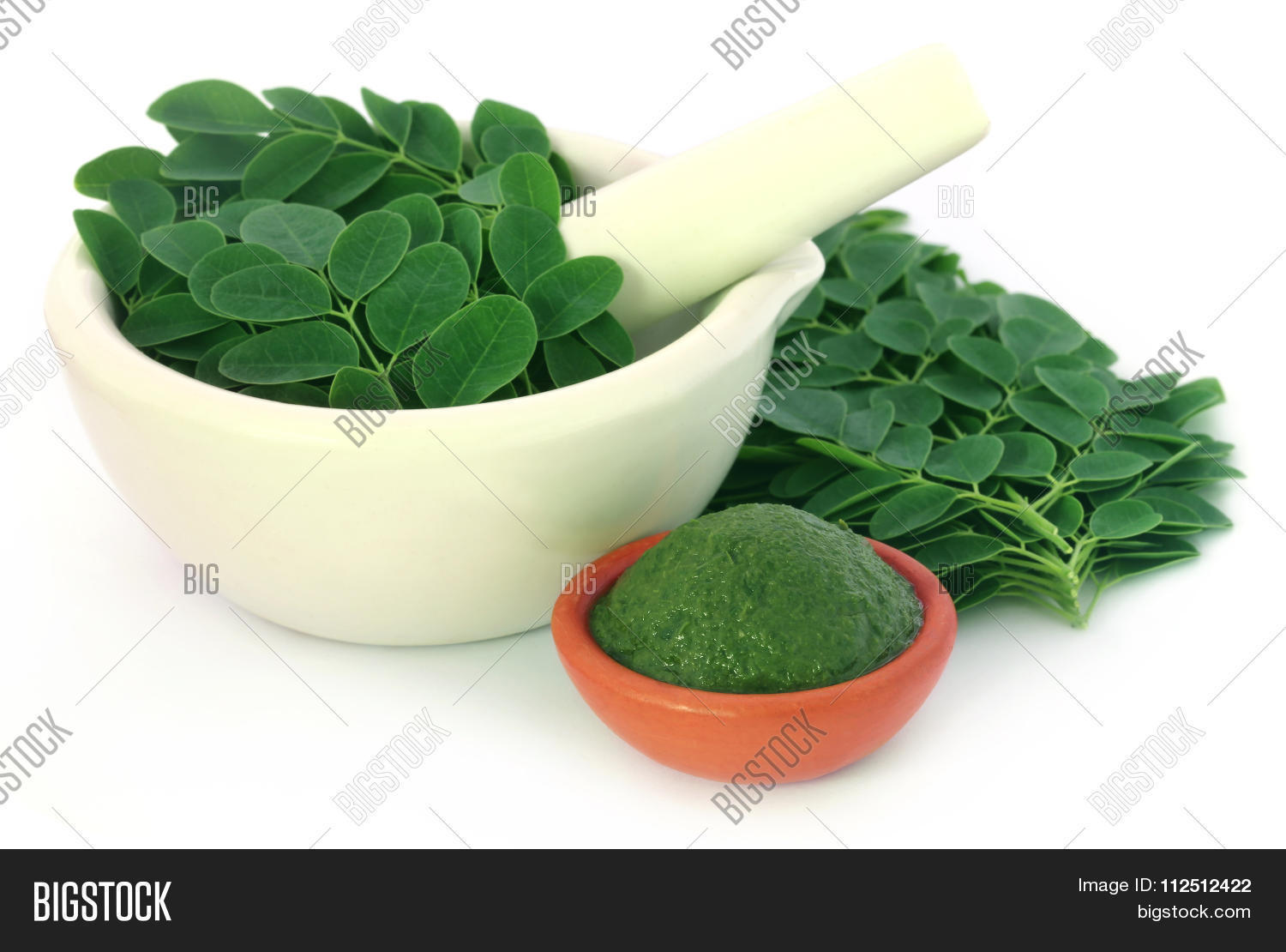 Edible Moringa Leaves Image & Photo (Free Trial) | Bigstock