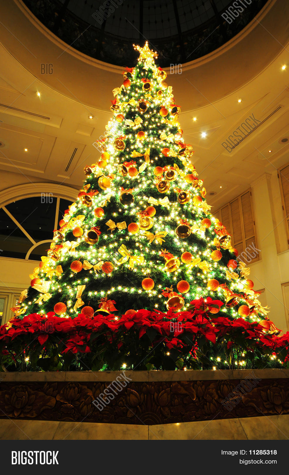 Chrismas Tree Image & Photo (Free Trial) | Bigstock