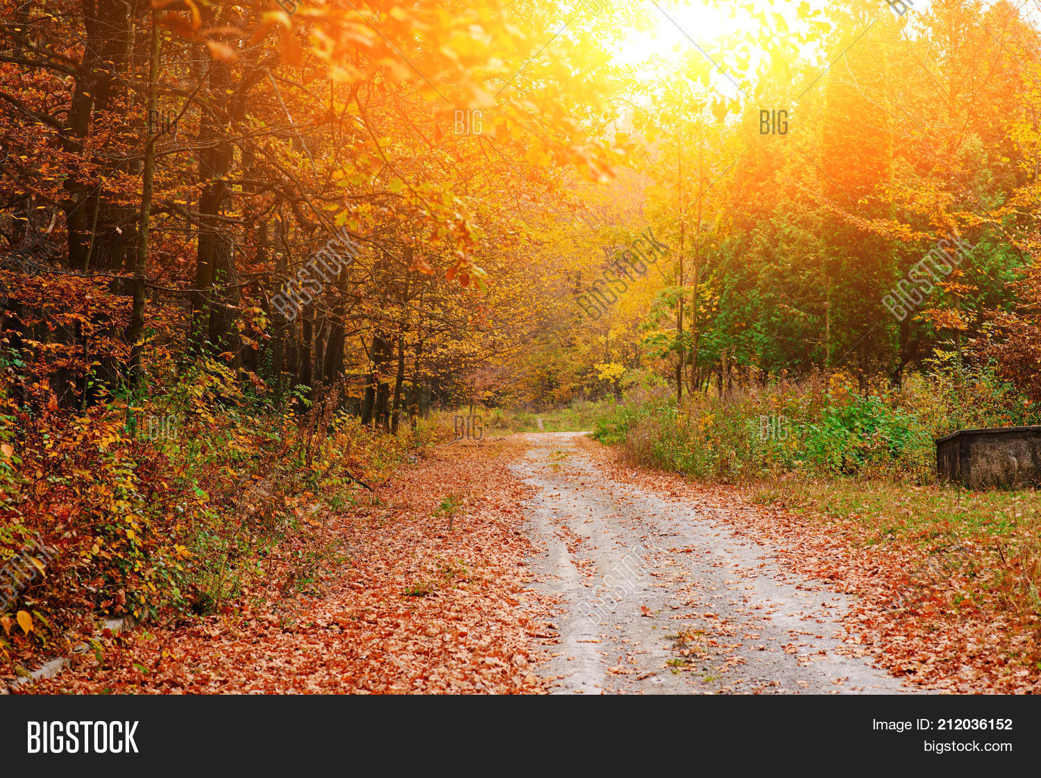 Bright Colorful Image & Photo (Free Trial) | Bigstock