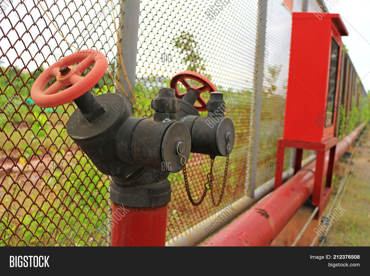 Fire Hydrant Siamese Image & Photo (Free Trial) | Bigstock
