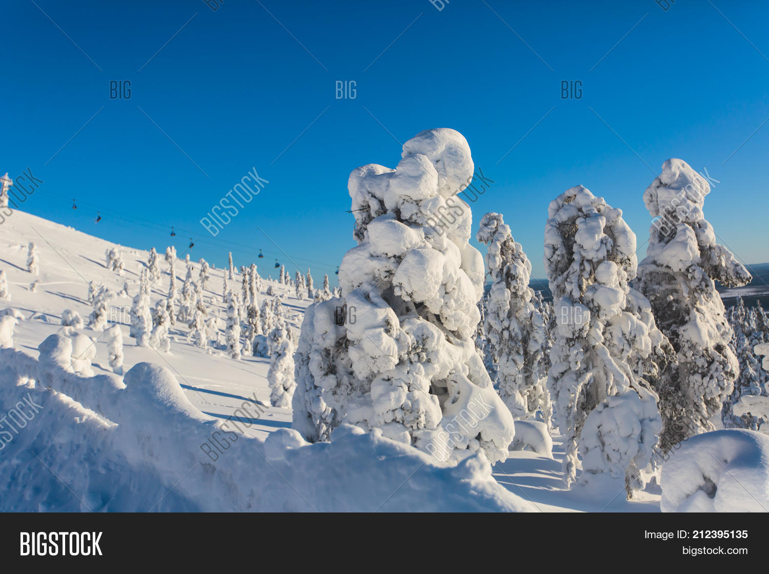 Beautiful Cold Image & Photo (Free Trial) | Bigstock