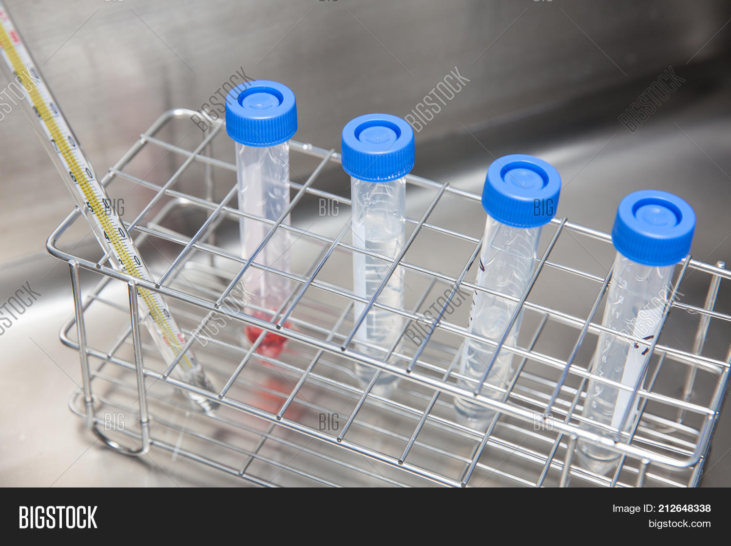 Falcon Tubes Rack Hot Image & Photo (Free Trial) | Bigstock