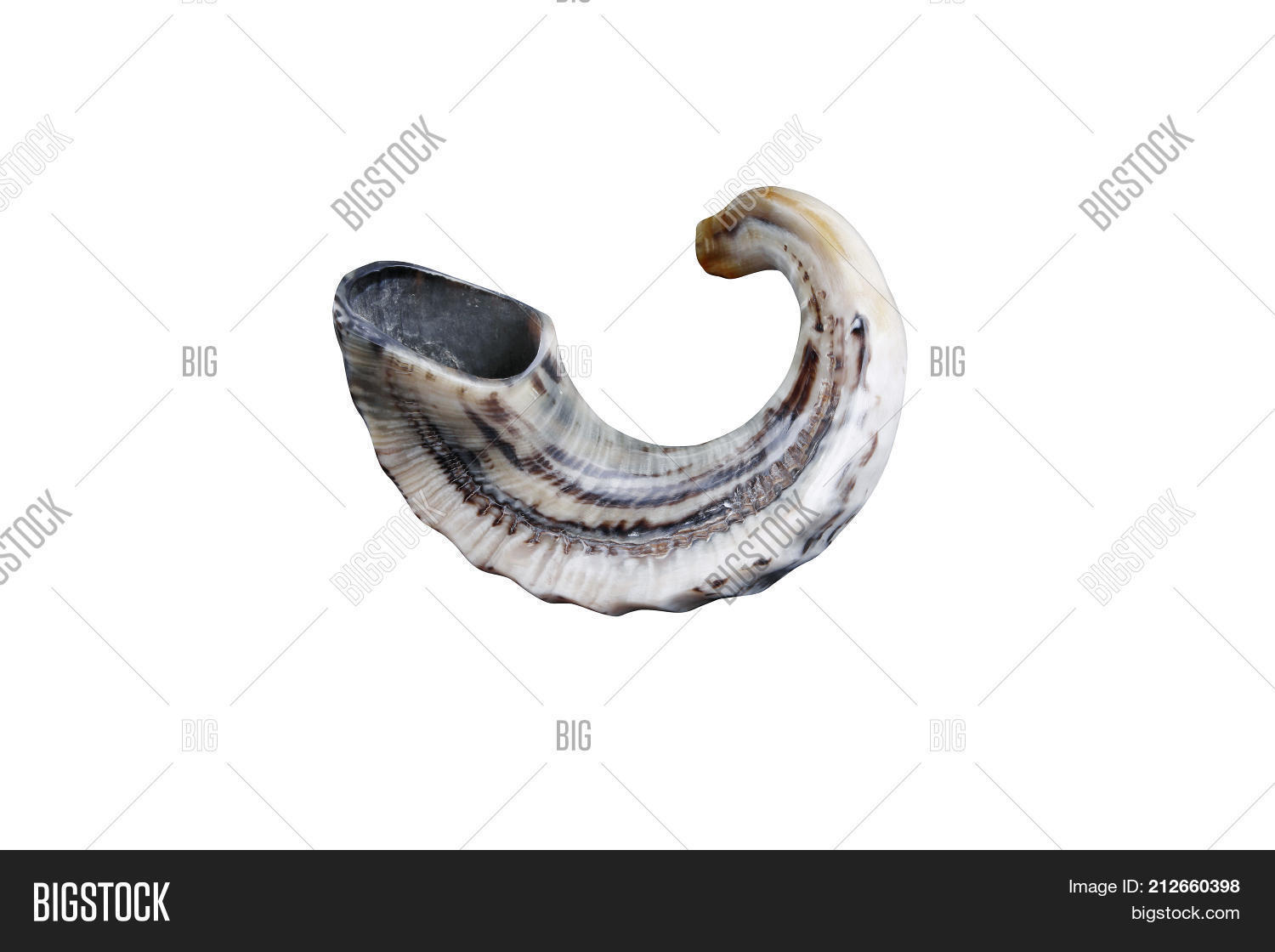 Jewish Small Horn Image & Photo (Free Trial) | Bigstock