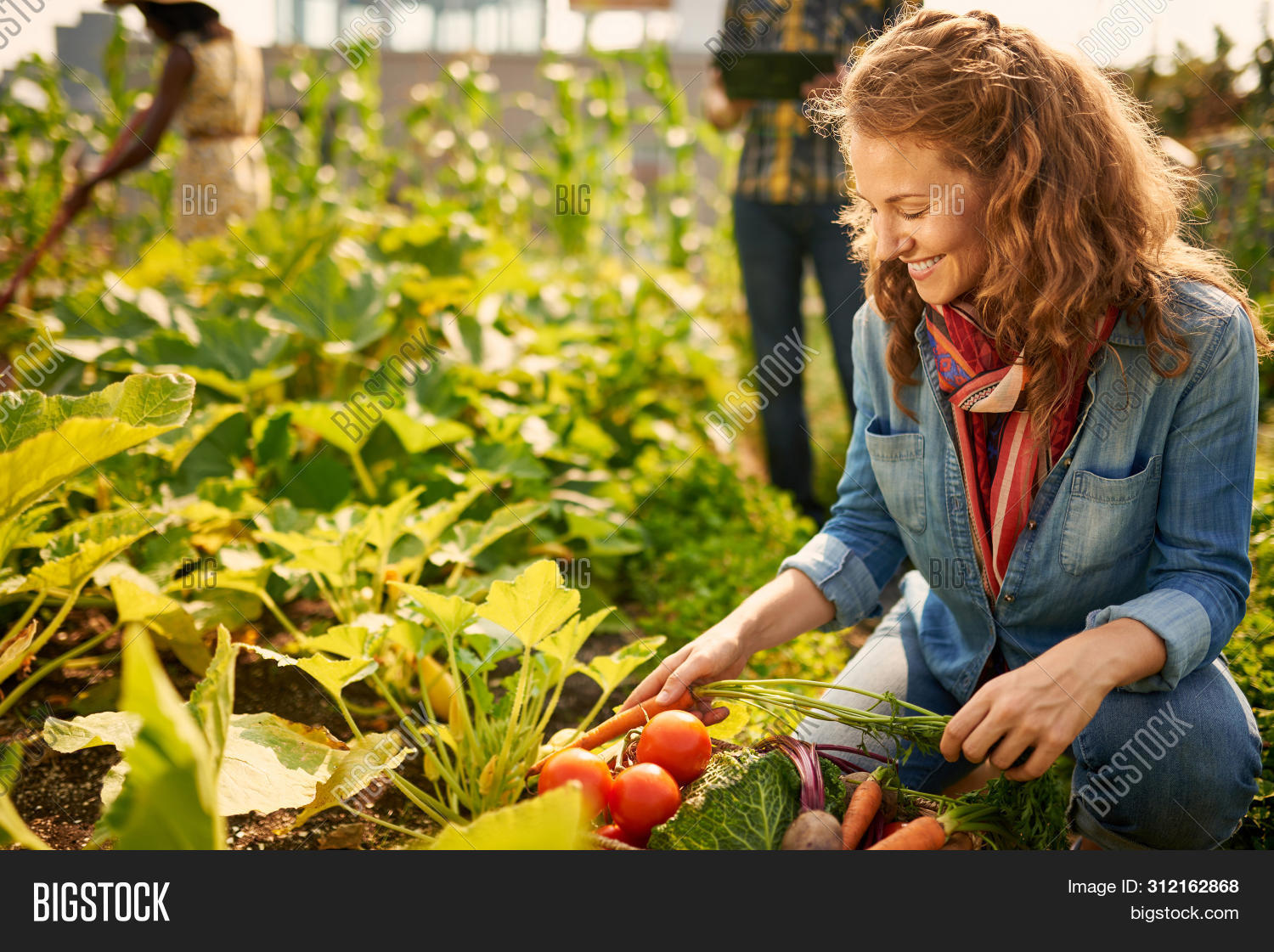 Friendly Team Image & Photo (Free Trial) | Bigstock