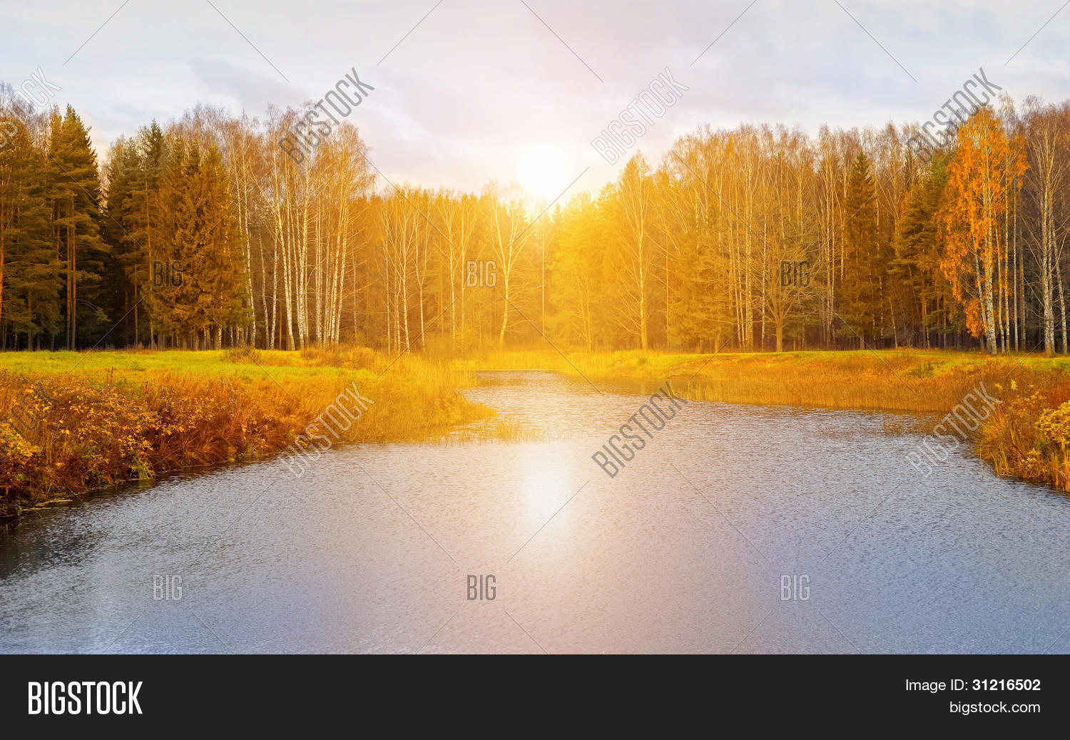 Trees Sunny Autumn Image & Photo (Free Trial) | Bigstock