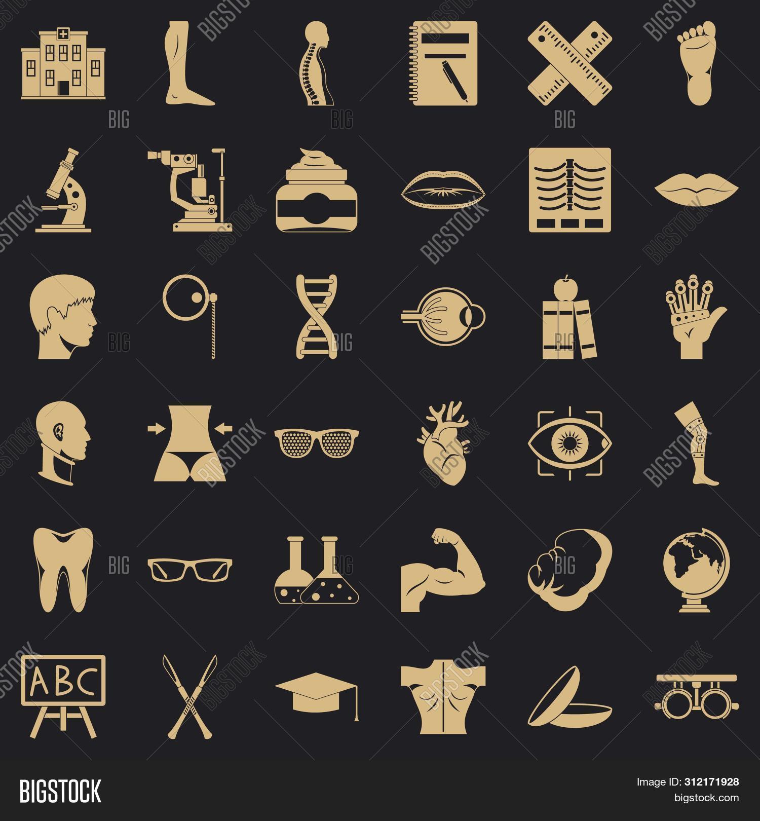 Anatomy Organ Icons Image & Photo (Free Trial) | Bigstock
